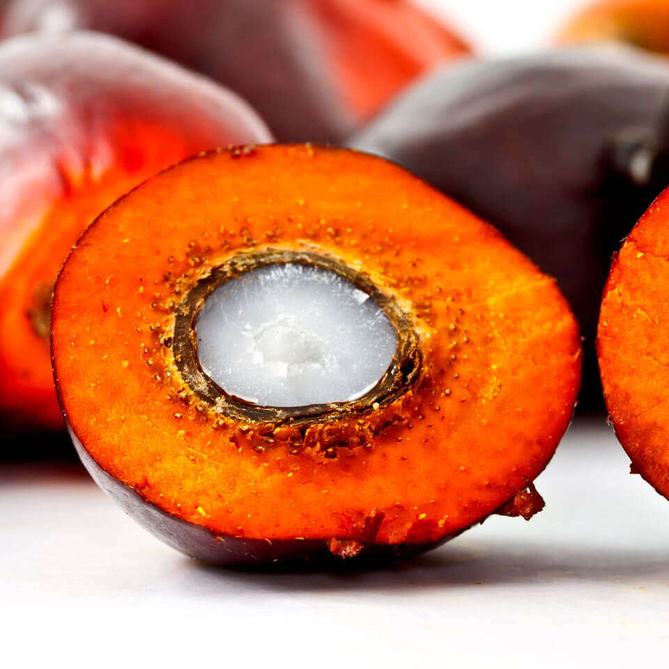 Dynabond Industrial (M) Sdn. Bhd. | PanPages Malaysia